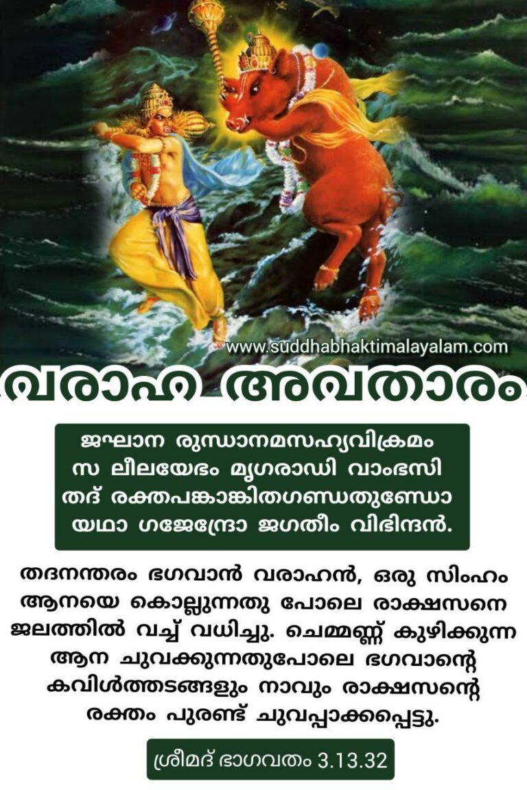 LORD VARAHA / വരാഹാവതാരം (POSTERS) – ശുദ്ധ ഭക്തി